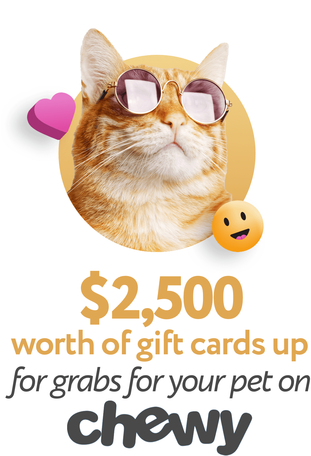 Yummypets: $2,500 worth of gift cards up for grabs on Chewy!