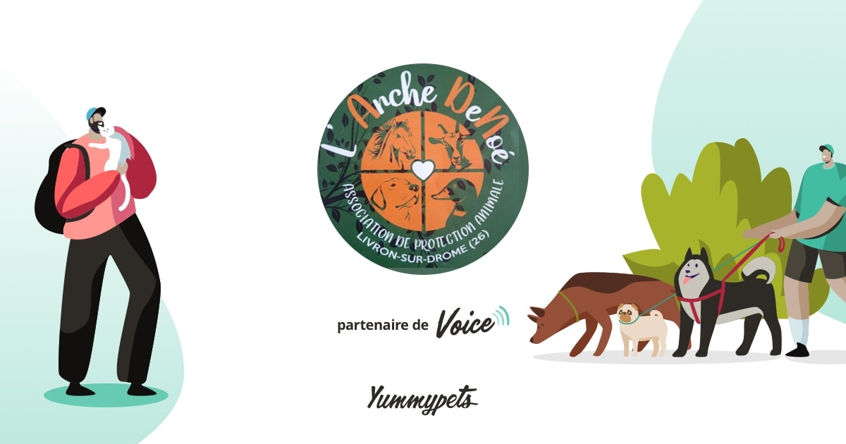L'Arche DeNoé - Voice - Yummypets