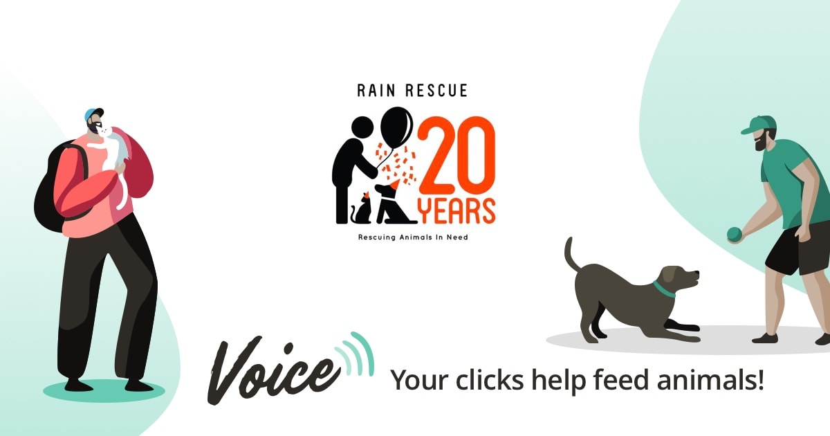 Rain Rescue - Voice - Yummypets