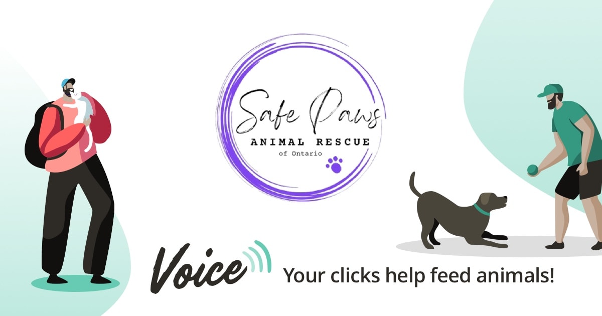 Safe Paws Animal Rescue of Ontario - Voice - Yummypets