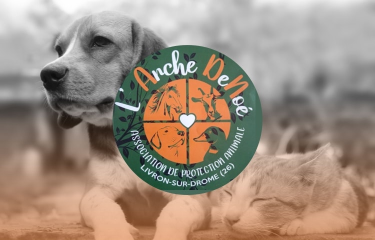 L'Arche DeNoé - Voice - Yummypets