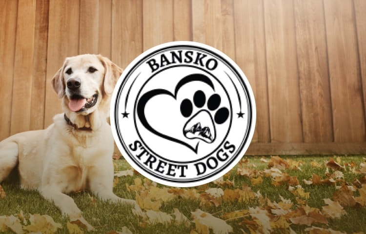 Bansko Street Dogs - Voice - Yummypets