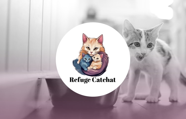 Refuge Catchat - Voice - Yummypets