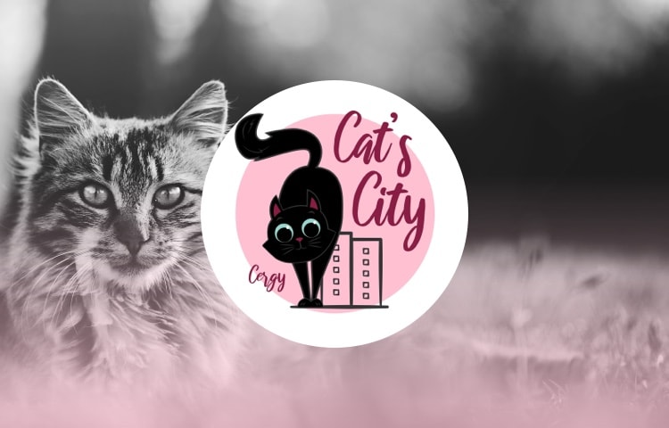 Cat's City - Voice - Yummypets