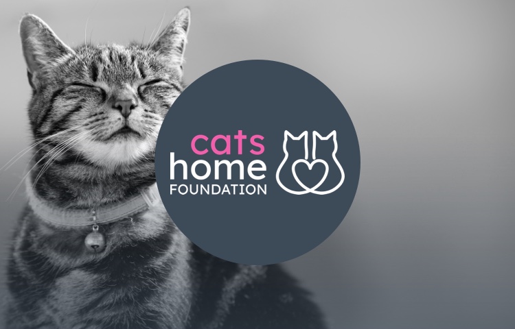 Cats Home Foundation - Voice - Yummypets