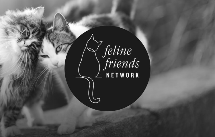 Feline Friends Network - Voice - Yummypets
