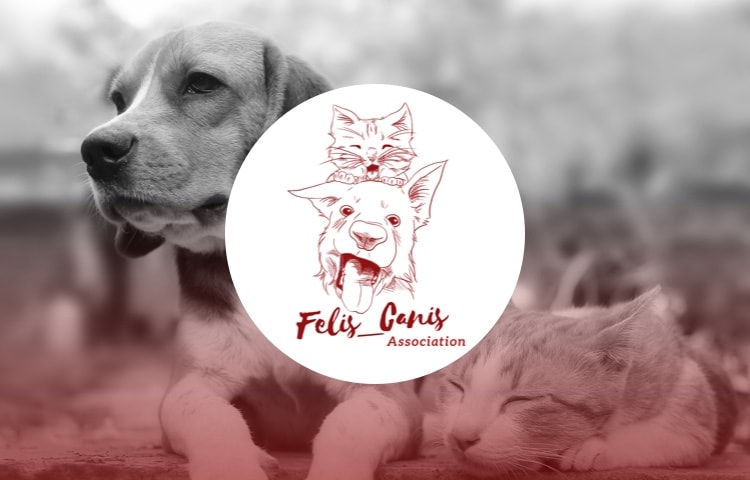 Felis Canis Association - Voice - Yummypets