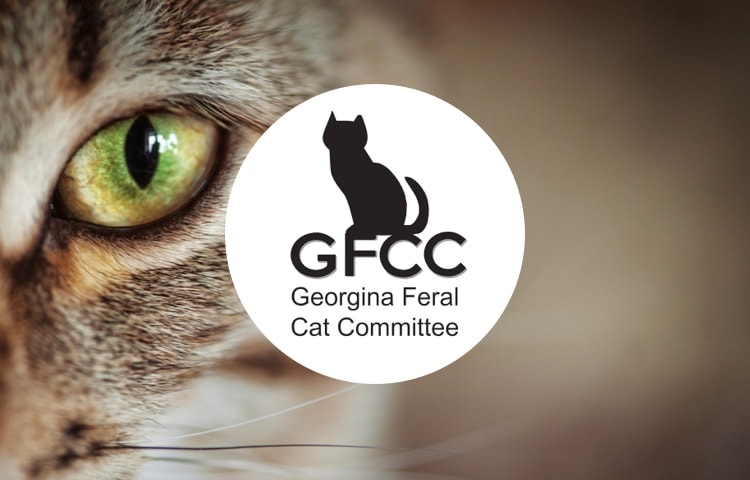 Georgina Feral Cat Committee - Voice - Yummypets