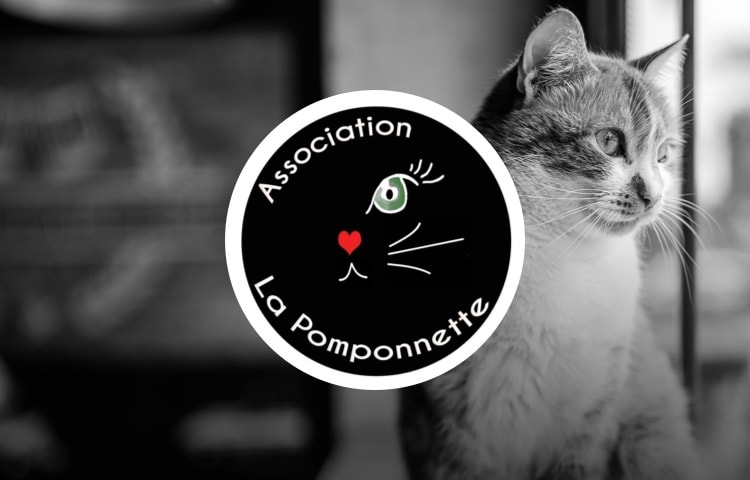 La Pomponnette - Voice - Yummypets