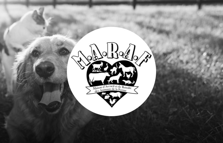 La MARAF - Voice - Yummypets