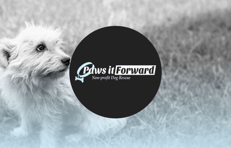 Paws it Forward Dog Rescue - Voice - Yummypets
