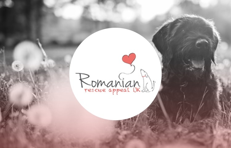 Romanian Rescue Appeal - Voice - Yummypets