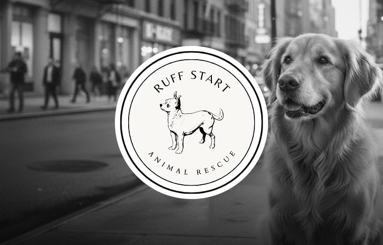 Ruff Start New Beginnings - Voice - Yummypets
