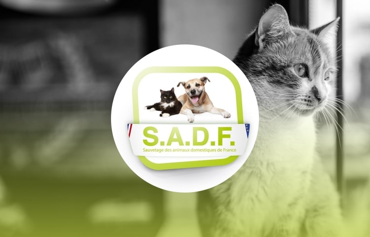 Association SADF - Voice - Yummypets