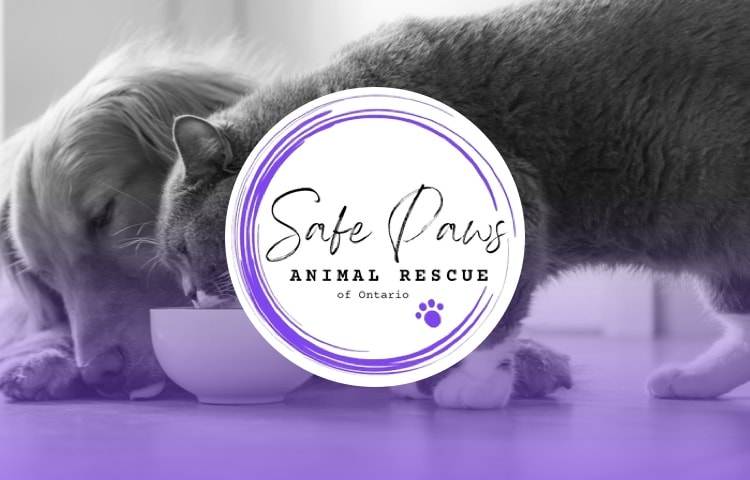 Safe Paws Animal Rescue of Ontario - Voice - Yummypets