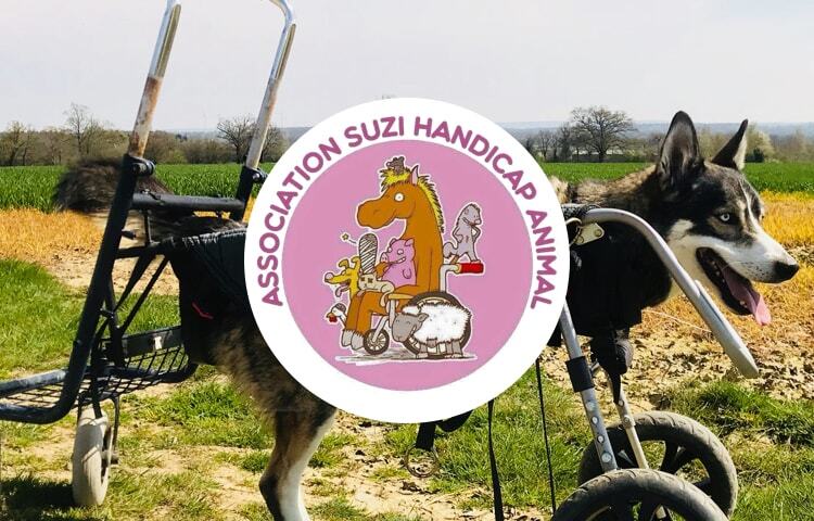 Suzi Handicap Animal - Voice - Yummypets
