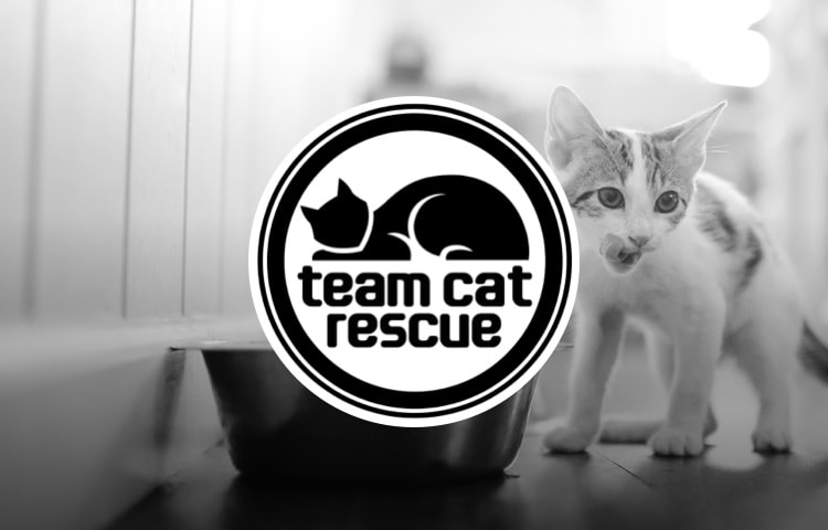 Team Cat Rescue - Voice - Yummypets