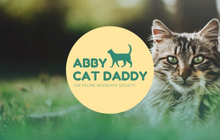 Abby Cat Daddy - Voice - Yummypets